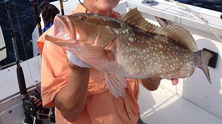 Guide to Fishing in Siesta Key Florida